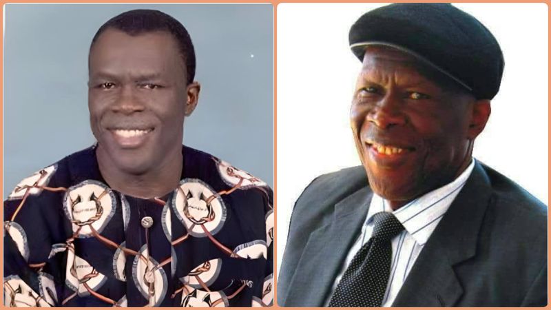 TheRadar - Humphrey Nwosu dies at 84: 8 facts about the professor who ...