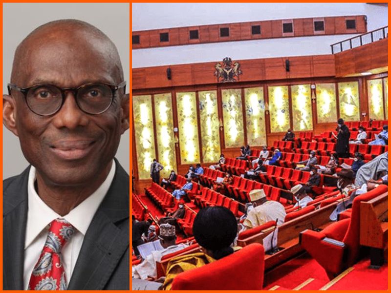 TheRadar - Senate confirms Professor Ayogu as member of CBN board of ...